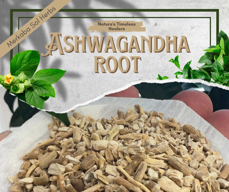 Ashwagandha: The "Indian Ginseng" That's Taking the World by Storm ...