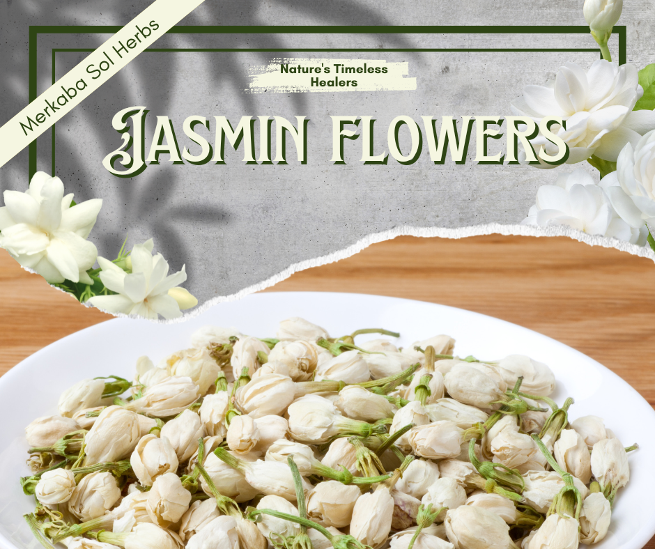 Jasmin Flowers: Unveiling the Secrets of Nature's Fragrant Gem ...