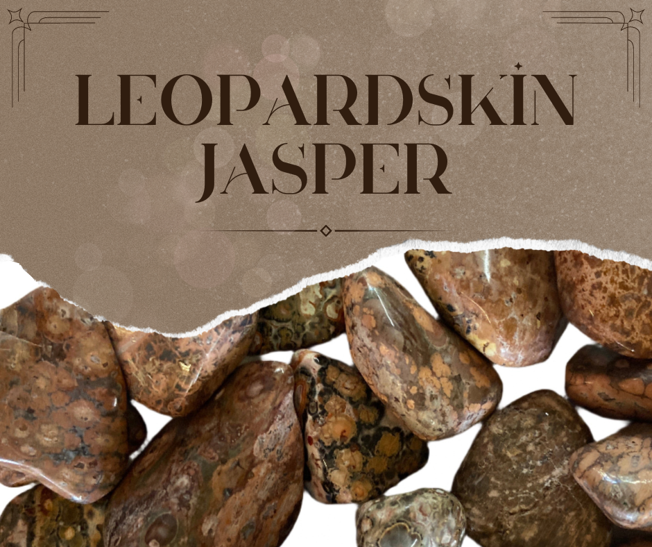 The Hidden Gems of Leopardskin Jasper – Merkaba Sol