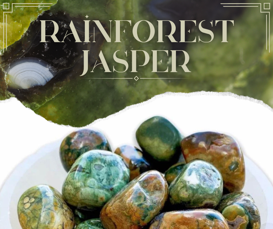 Rainforest Jasper: Nature's Little Green Wonder – Merkaba Sol