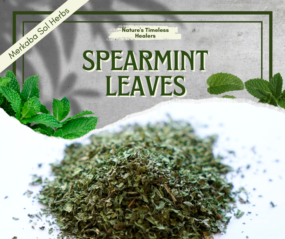 Spearmint: The Cool Herb You Never Knew You Needed – Merkaba Sol